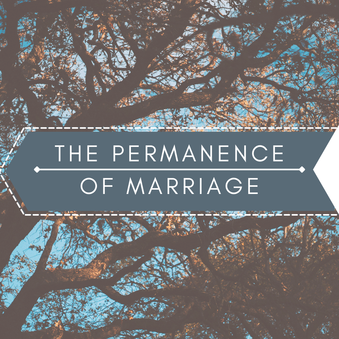 Sermons Archive - Nashville Baptist Church